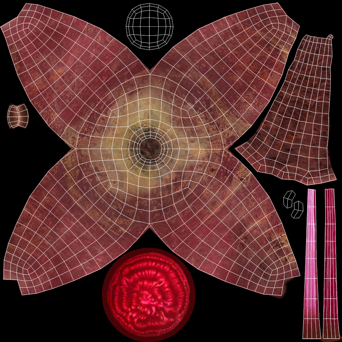 Beetroot 3D model - TurboSquid 1903263