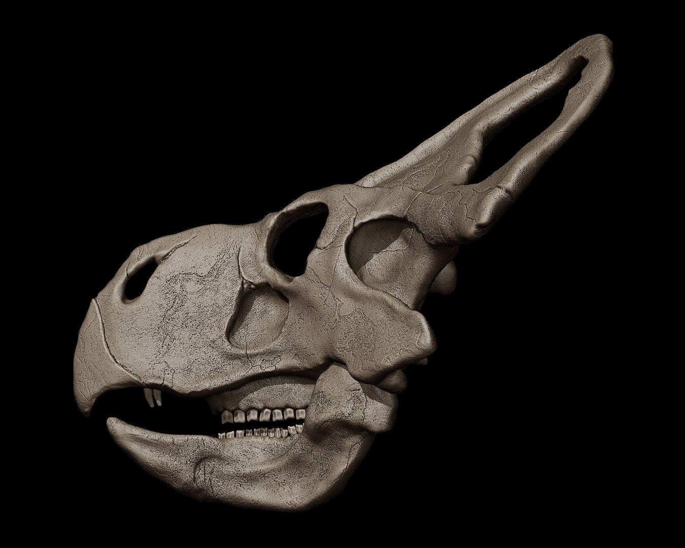 3D Protoceratops Skull - TurboSquid 2395610