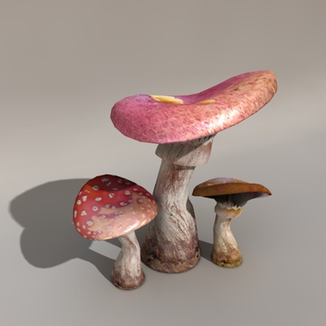 3d Mushrooms Toadstools