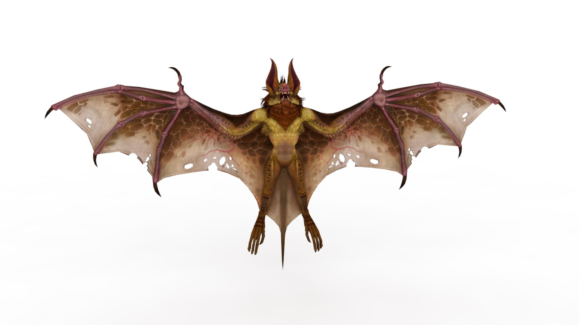 Bat Monster Model - TurboSquid 2223849