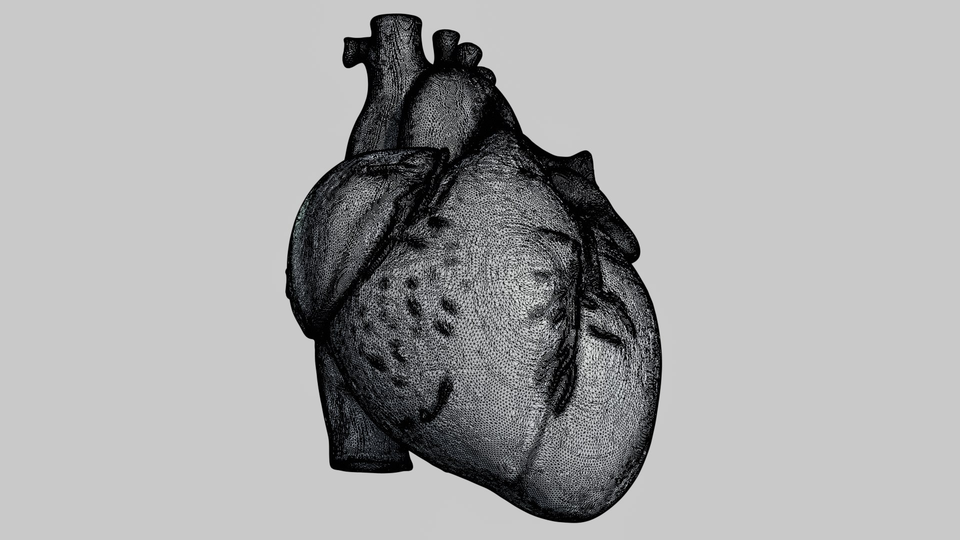 3D Human Anatomy Heart For 3D Printing And Educational Purposes 3D ...