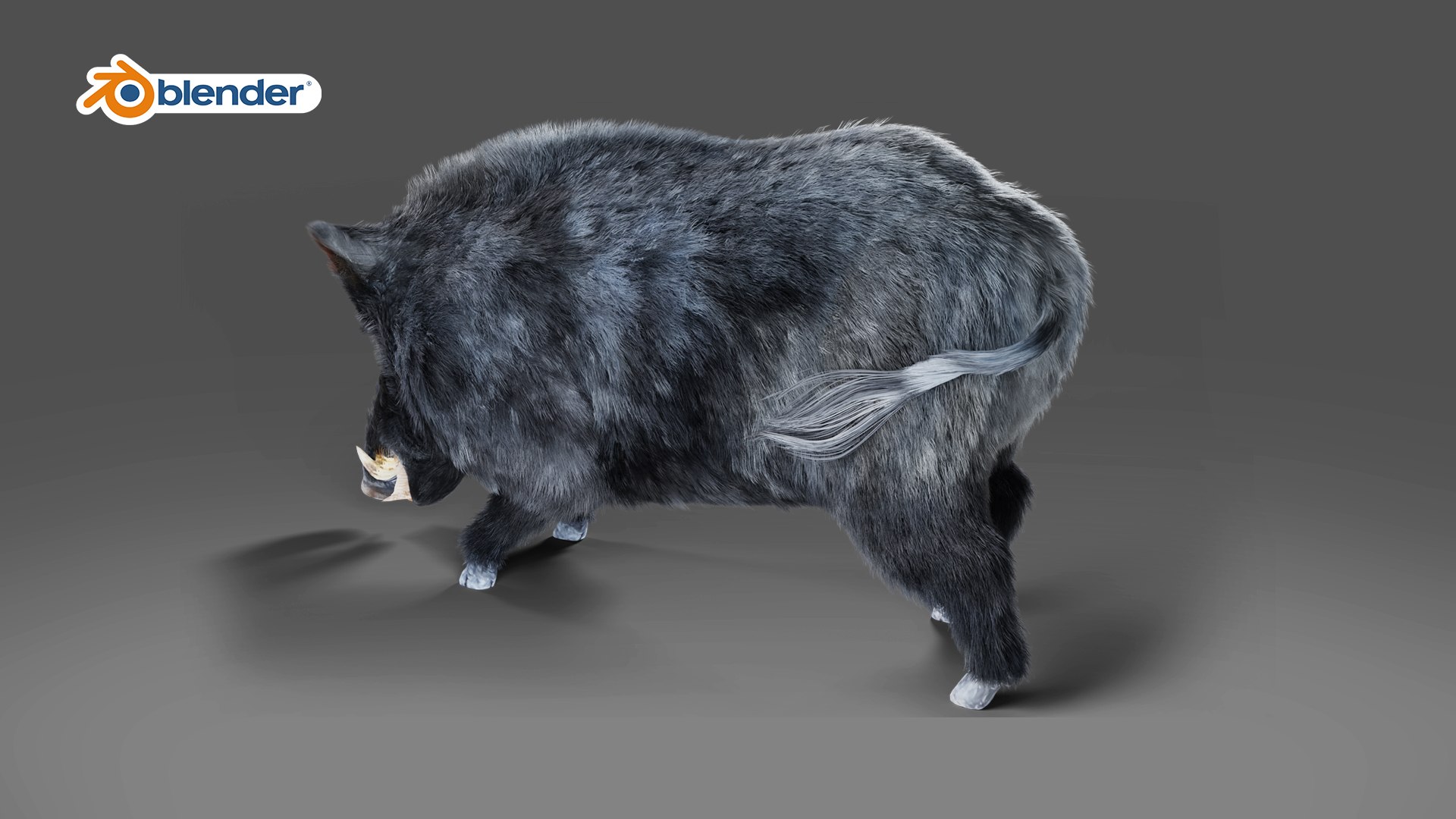 3D Model Fur Wild Boar Rigged V08 In Blender - TurboSquid 1992517