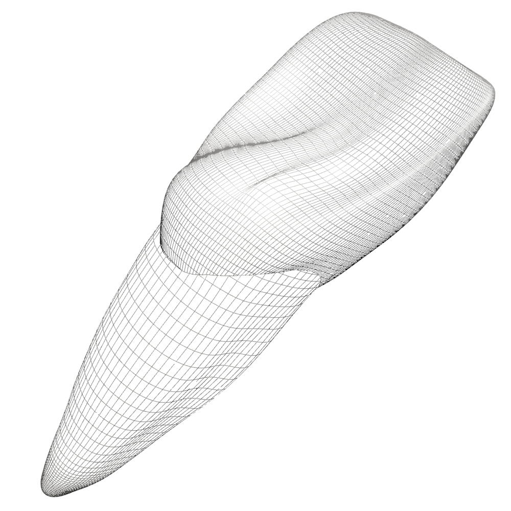 3d model central incisor