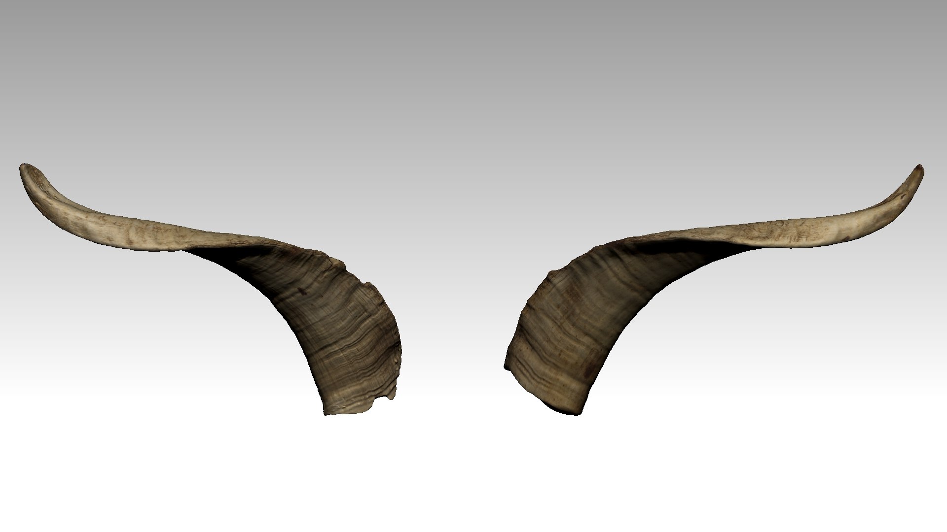 Billy Goat Horns 3D Model - TurboSquid 2144236