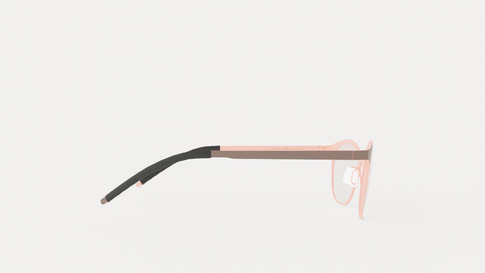 Designer Prescription Glasses 3D Model - TurboSquid 2214252