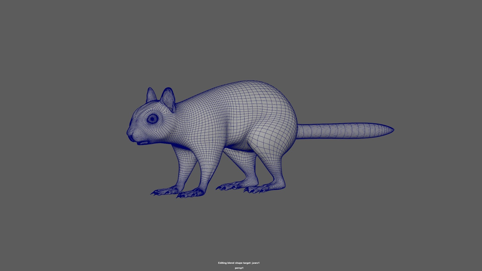 Squirrel Rodent Animal 3D Model - TurboSquid 1641822