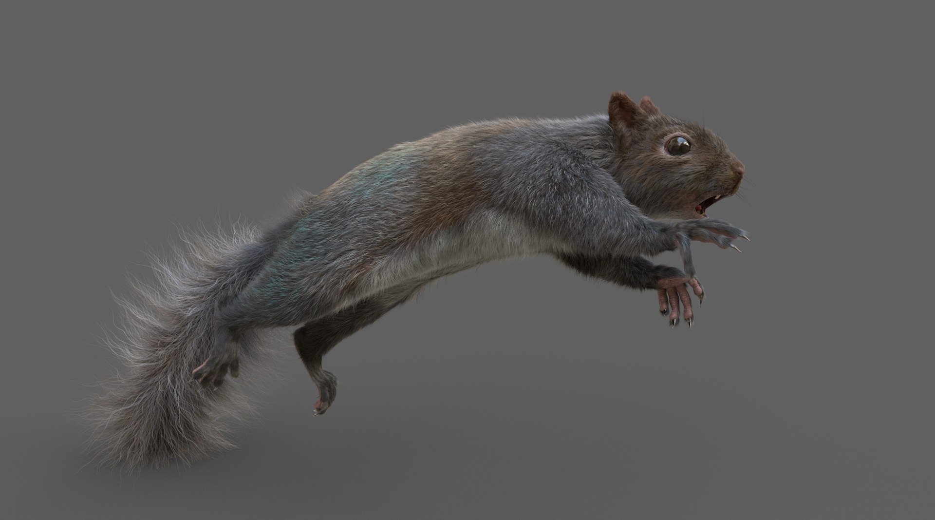 Squirrel Rodent Animal 3D Model - TurboSquid 1641822