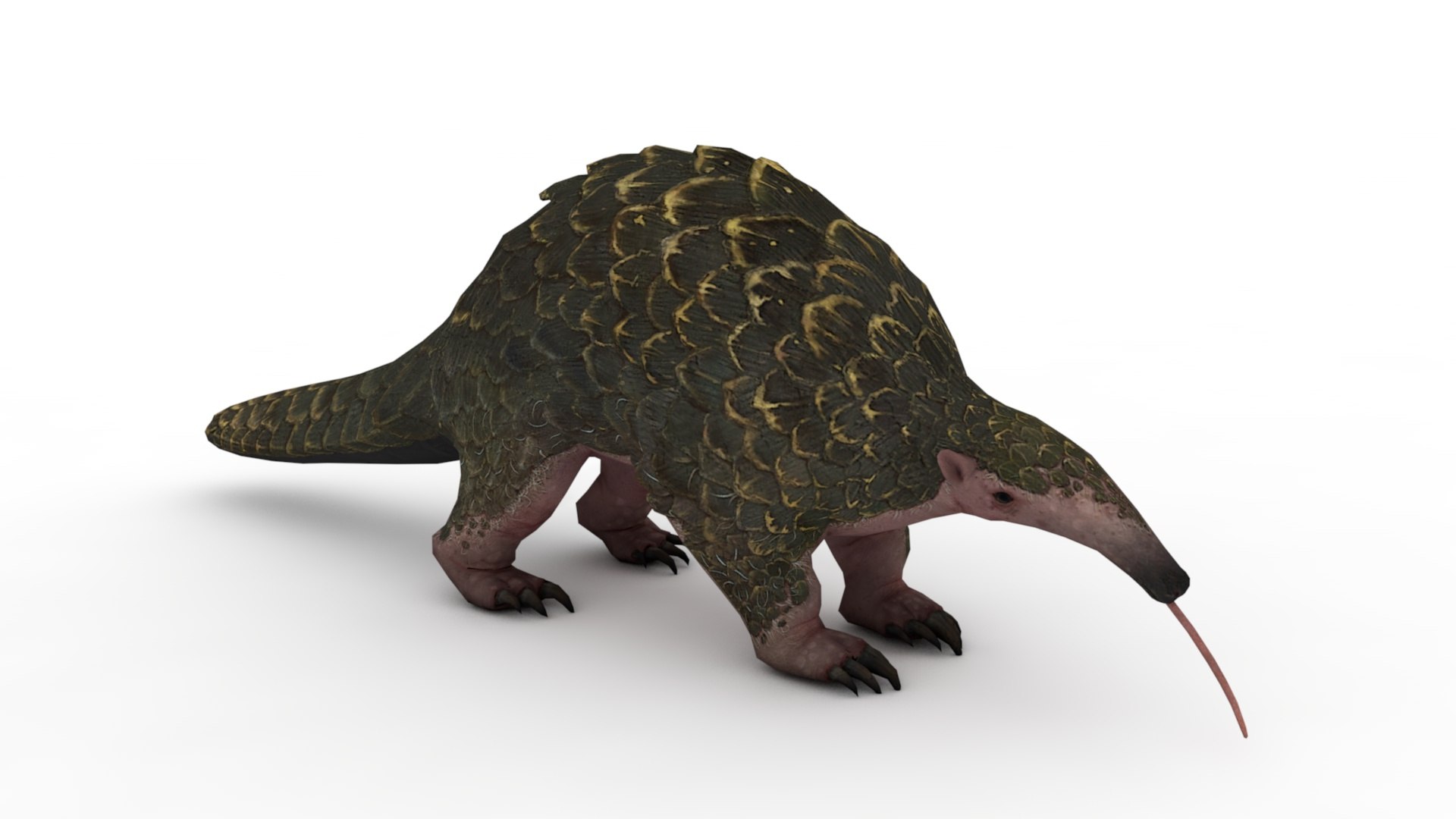 Pangolin 3D - TurboSquid 2002651