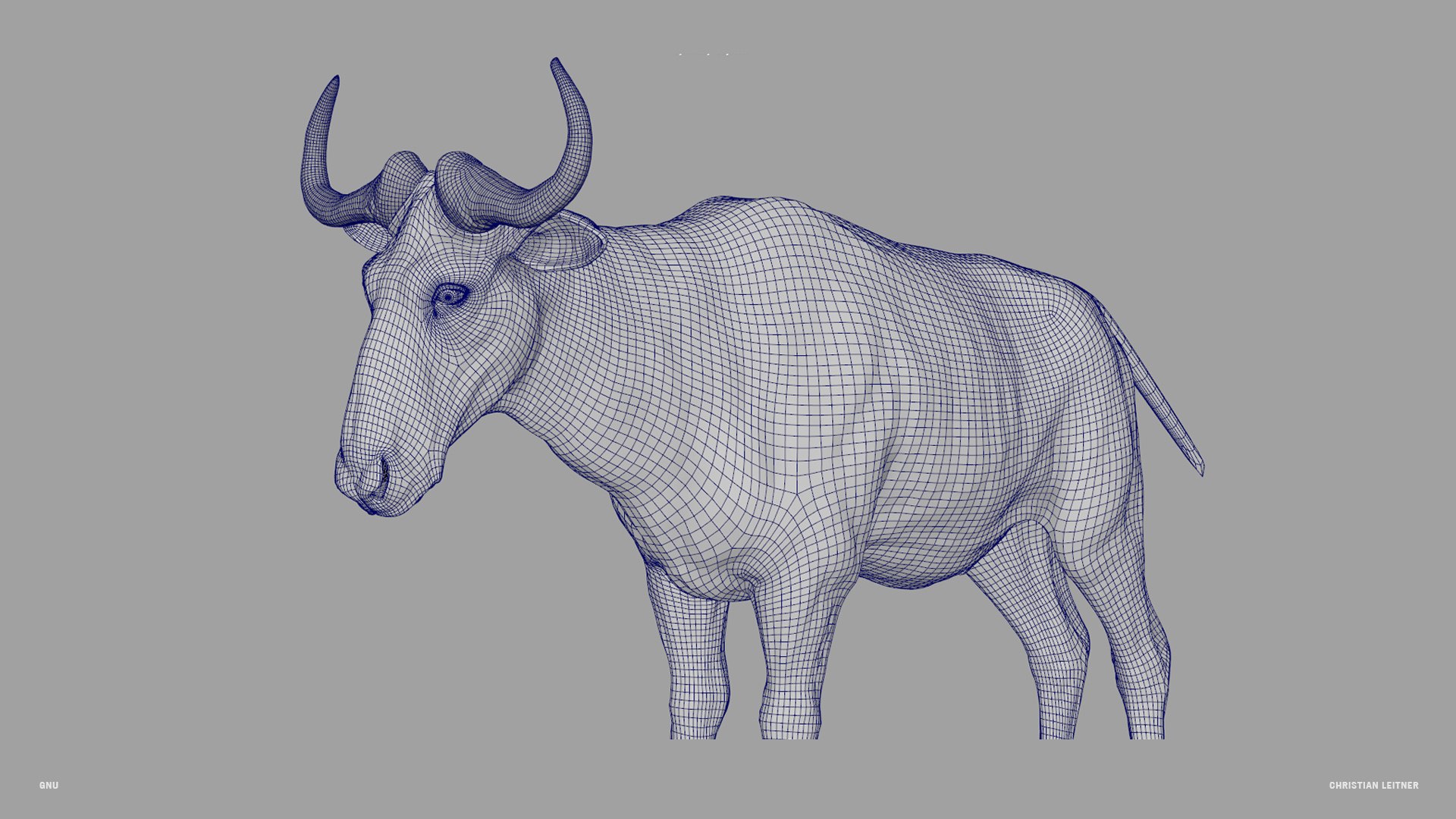 3D Gnu - TurboSquid 1820192