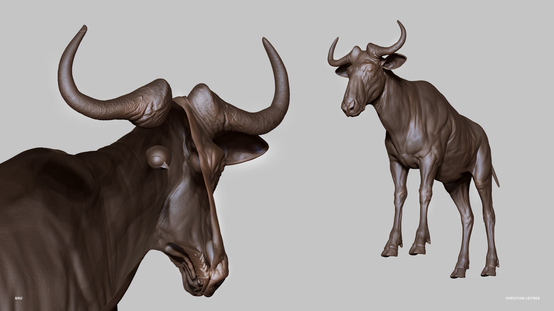 3D Gnu - TurboSquid 1820192