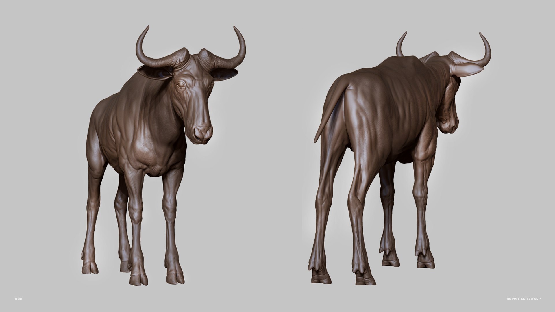 3D Gnu - TurboSquid 1820192