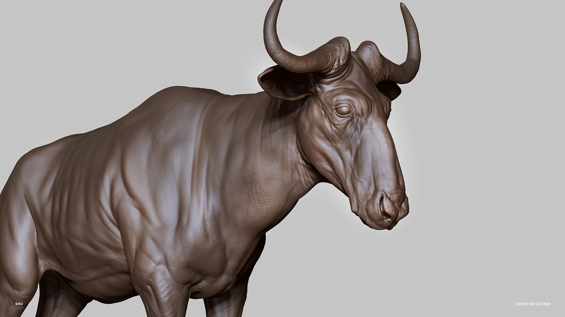 3D Gnu - TurboSquid 1820192