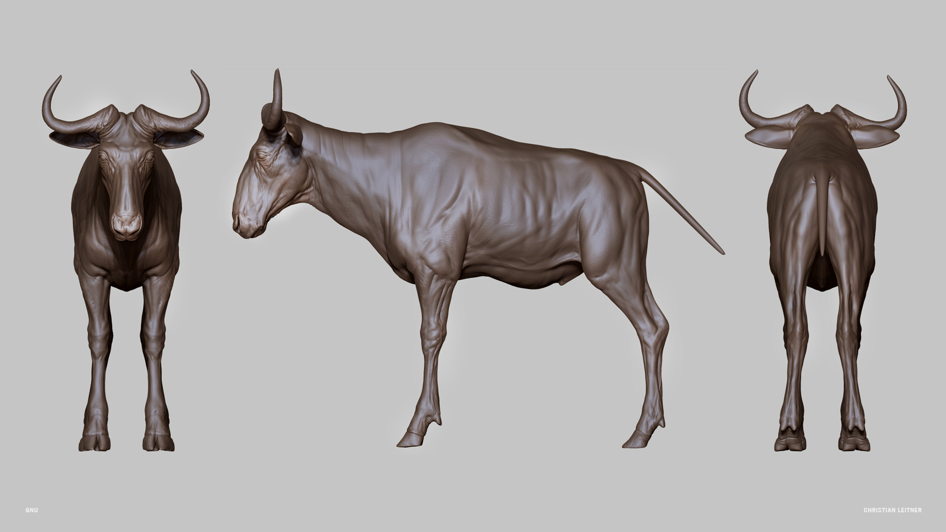 3D Gnu - TurboSquid 1820192