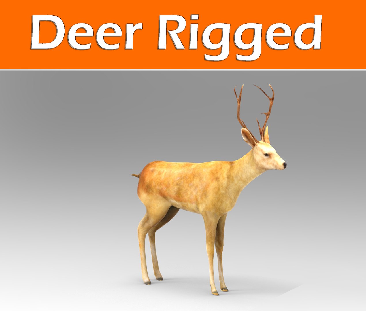 Max Deer Rigged