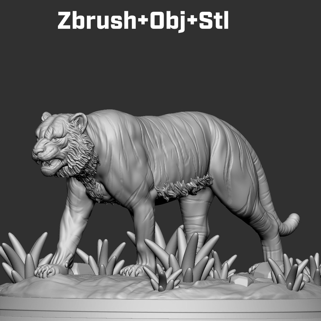 Tiger 3D Model - TurboSquid 2012513
