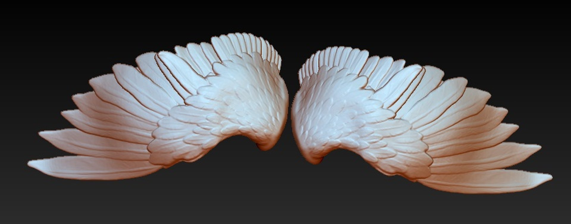 Bird Wings 3d Model