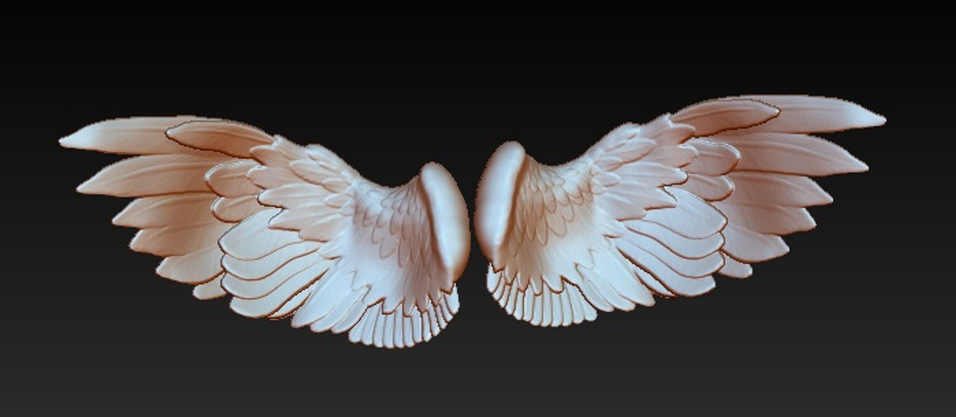 Bird Wings 3d Model