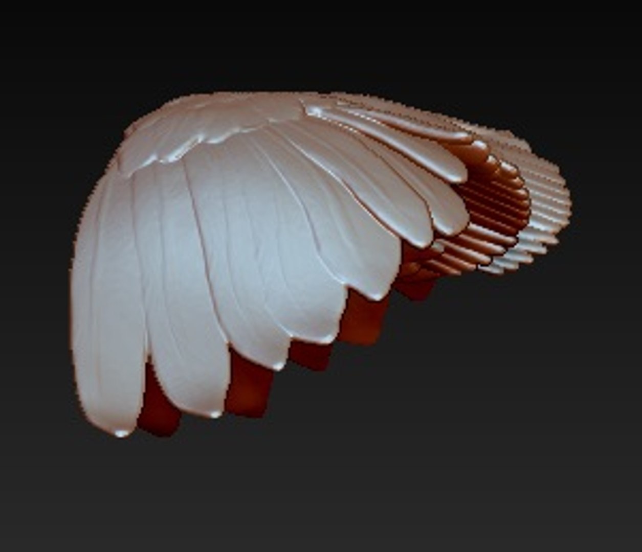 Bird Wings 3d Model