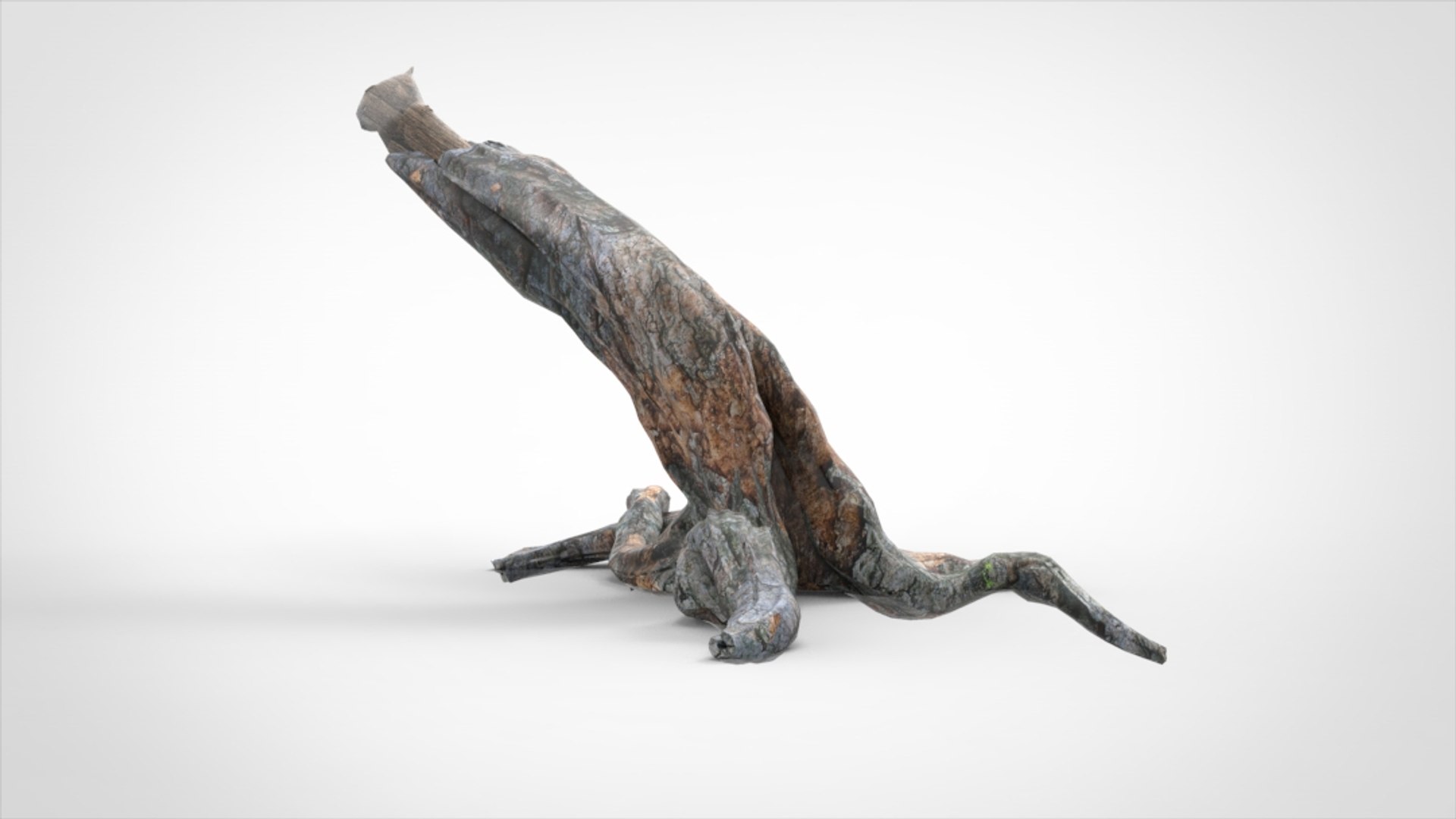 3D model old tree stump | 1145256 | TurboSquid