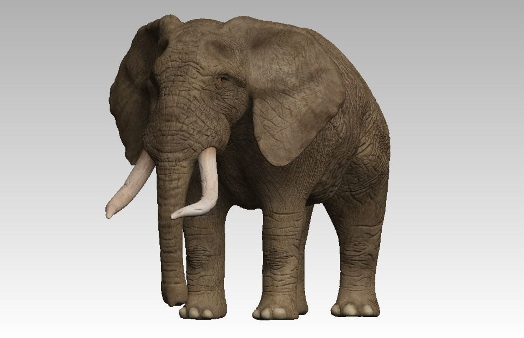 3D Model Rigged Elephant - TurboSquid 1474992