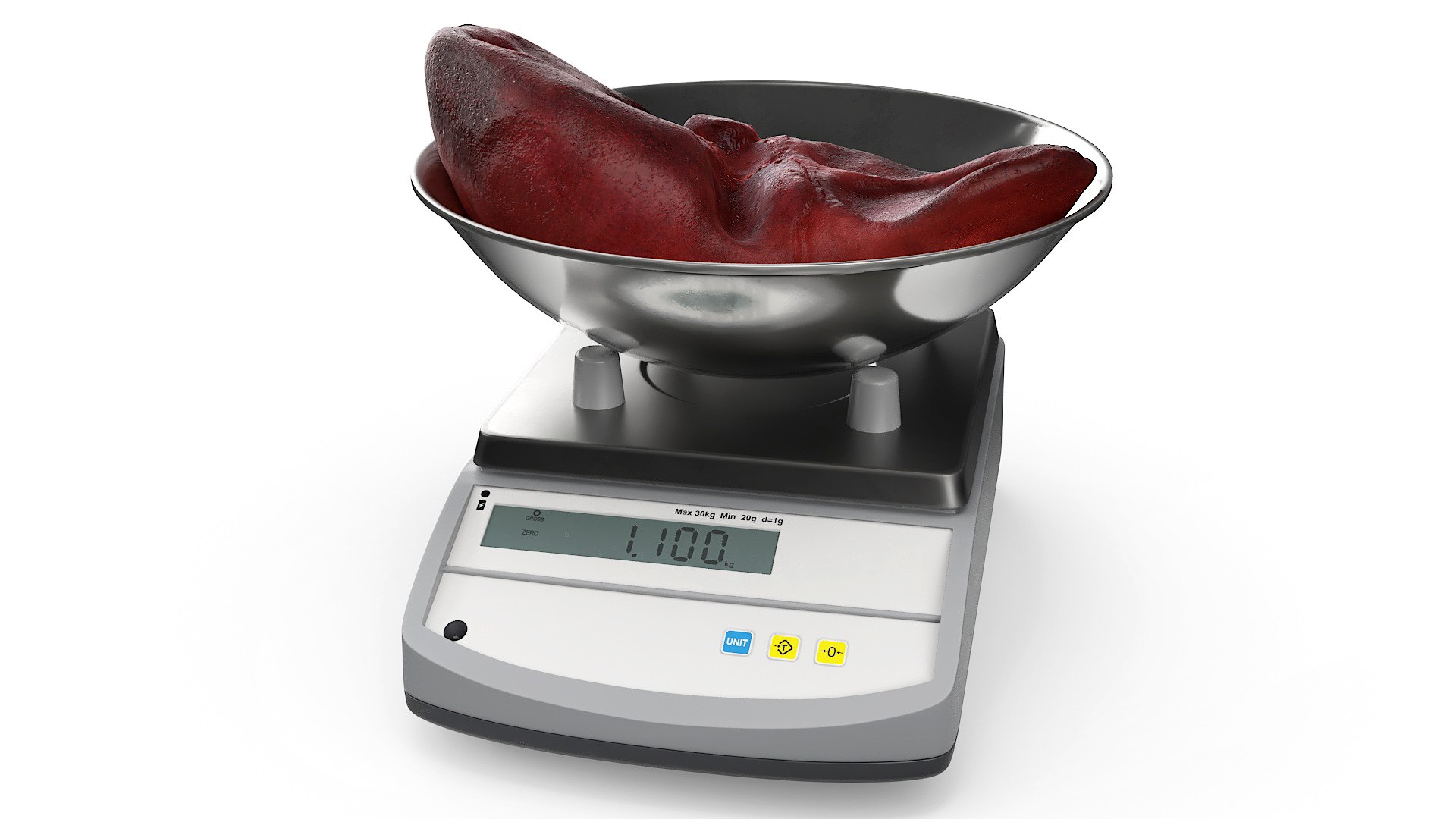 Liver On Scales 3D - TurboSquid 2384212