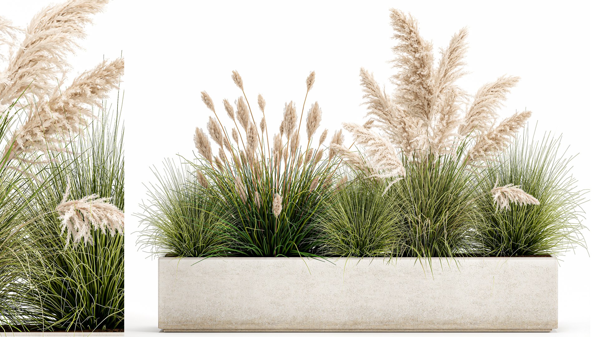 3D Potted Reeds For Landscaping 1077 - TurboSquid 1817988