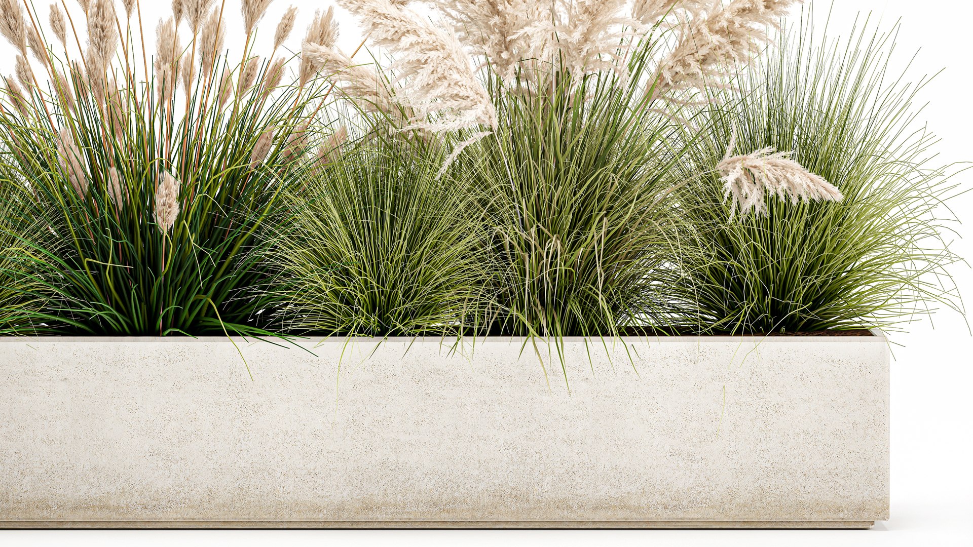 3D Potted Reeds For Landscaping 1077 - TurboSquid 1817988