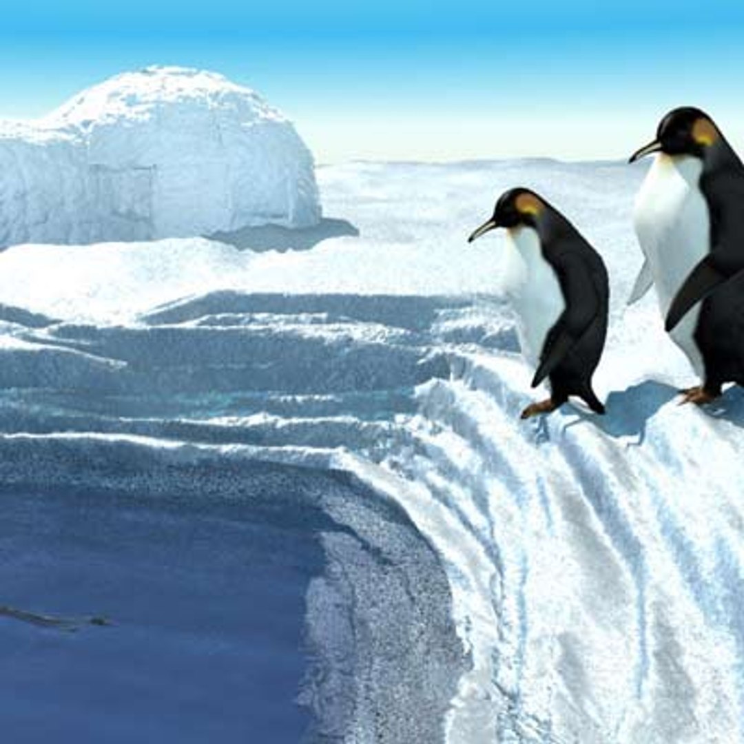 Maya Environment Penguins Igloo Arctic