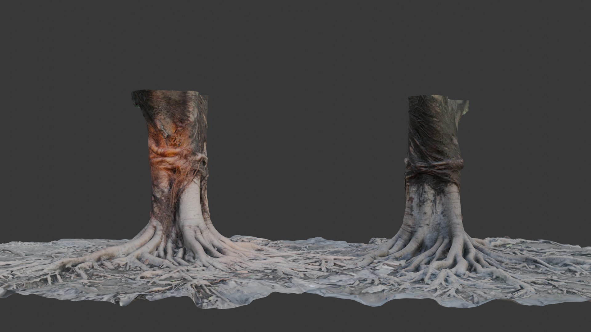 Tree Stumps With Extended Root 3D Model - TurboSquid 2395532