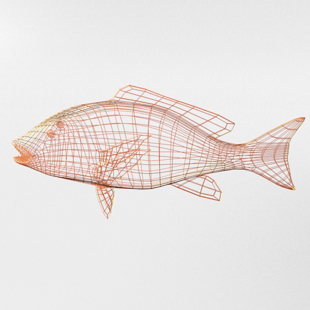 3D Snapper Fish Model - TurboSquid 1316812