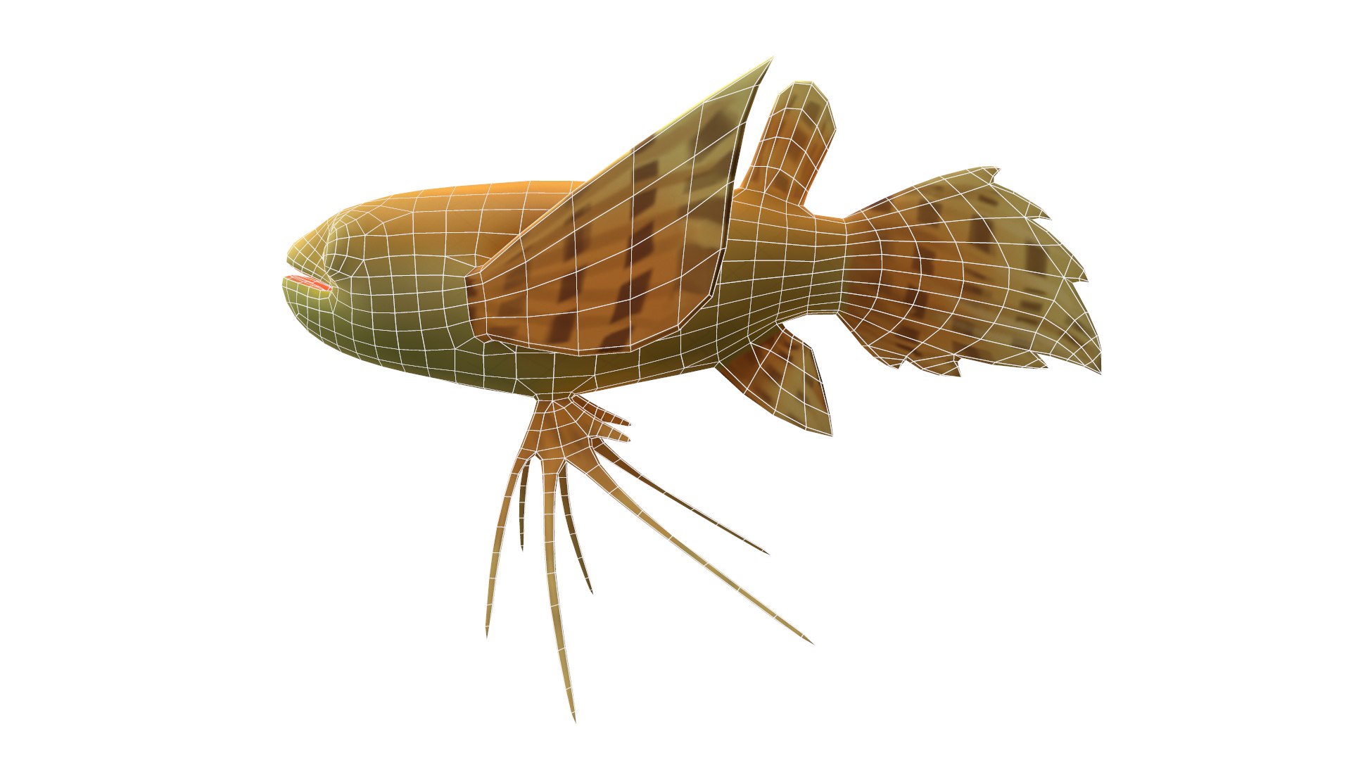Pantodon Buchholzi Fish Toon Model - TurboSquid 1586298