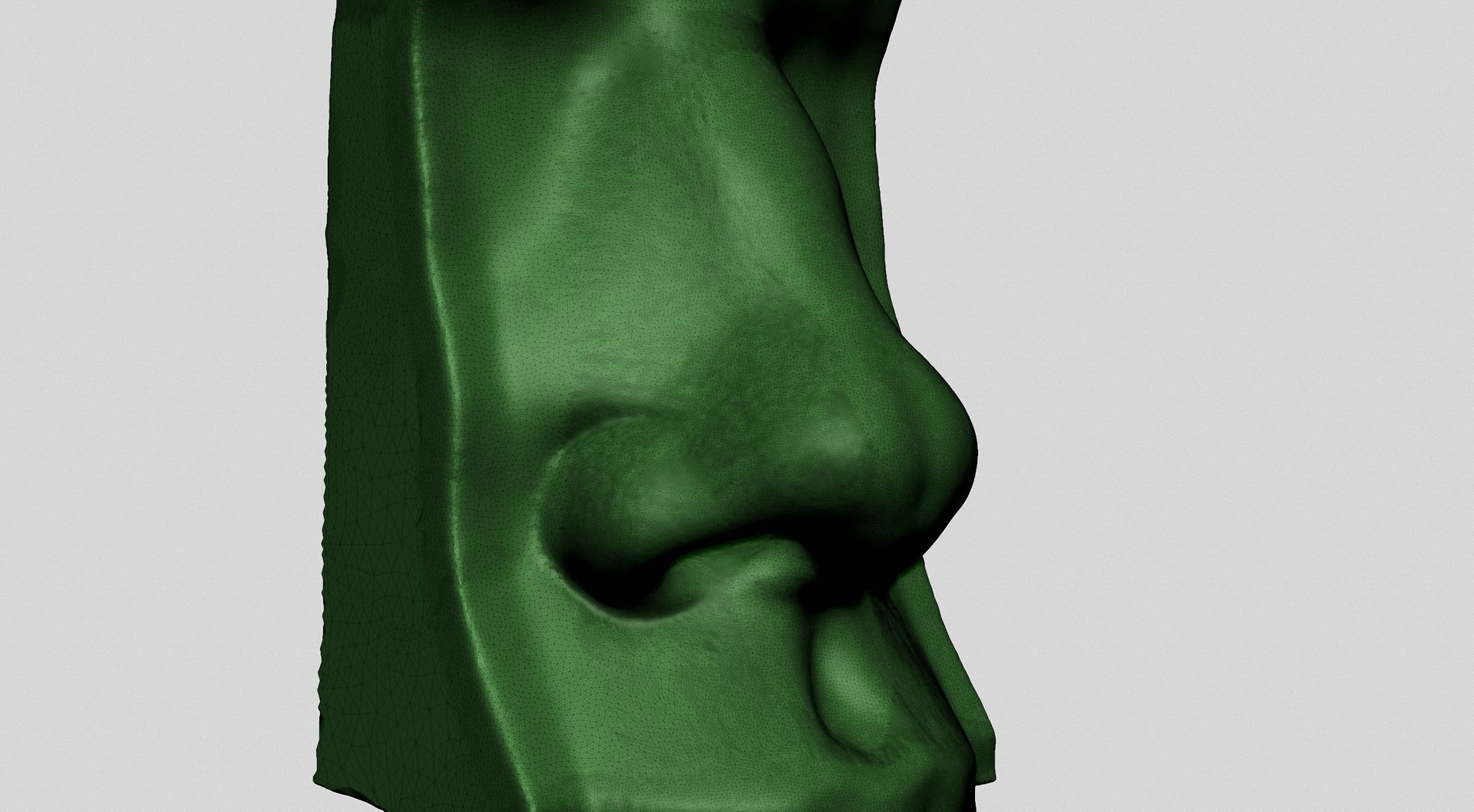 3D Nose Model With Different Types Model - TurboSquid 2004922