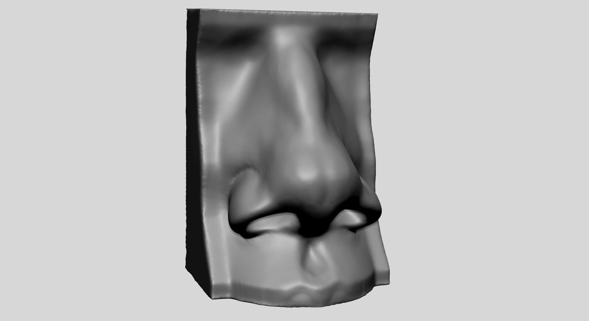 3D Nose Model With Different Types Model - TurboSquid 2004922