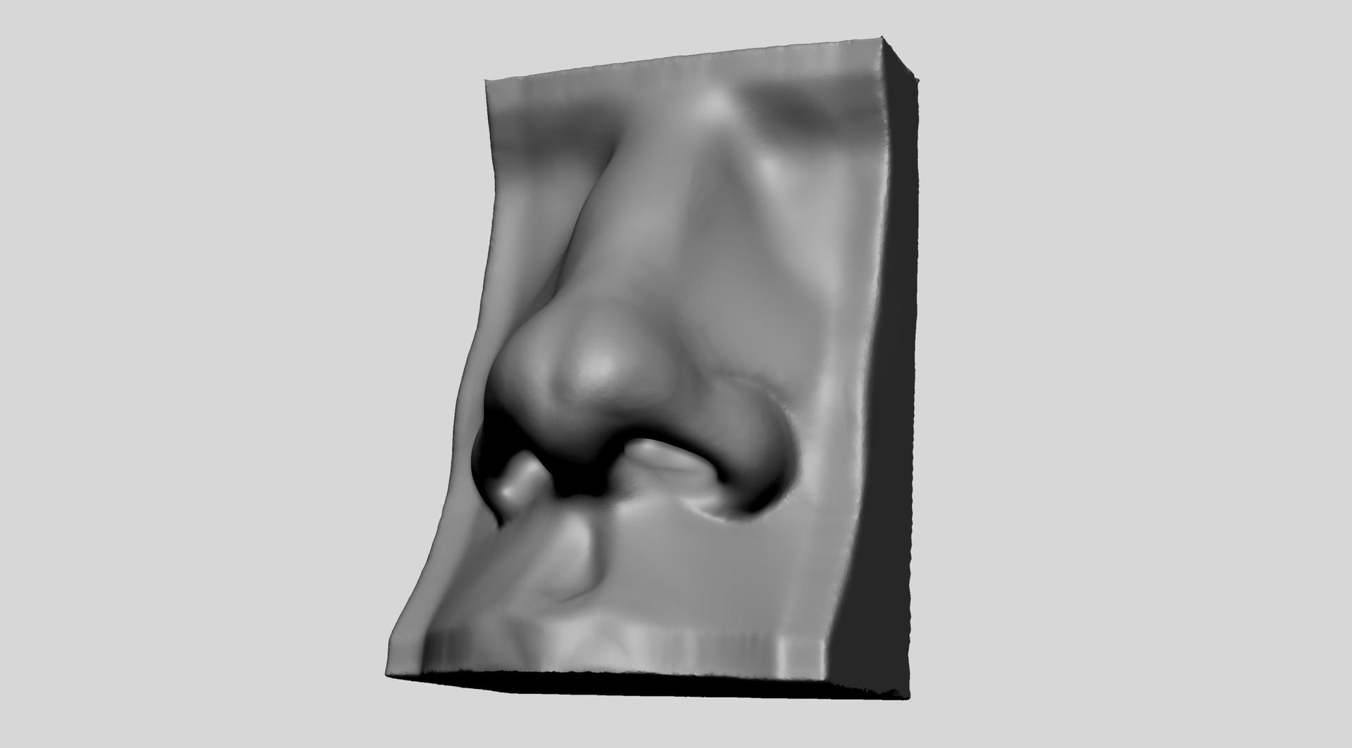 3D Nose Model With Different Types Model - TurboSquid 2004922