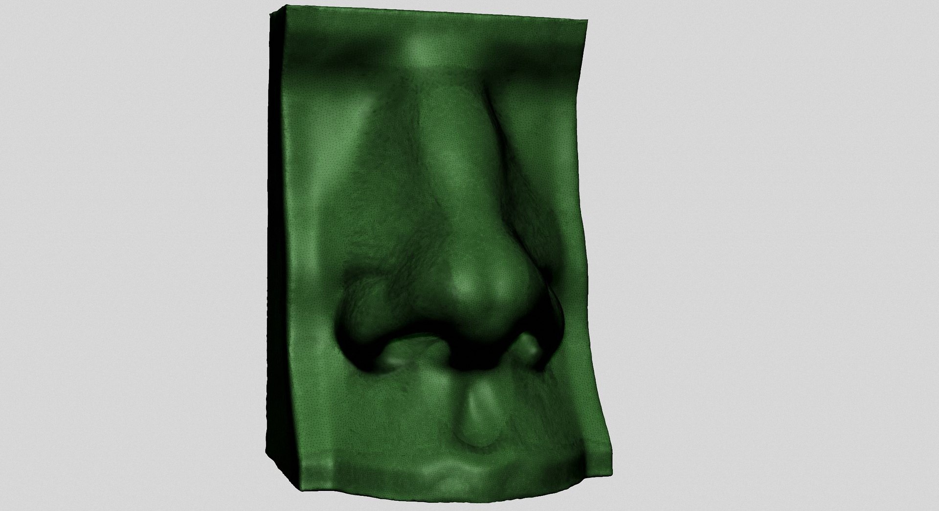 3D Nose Model With Different Types Model - TurboSquid 2004922