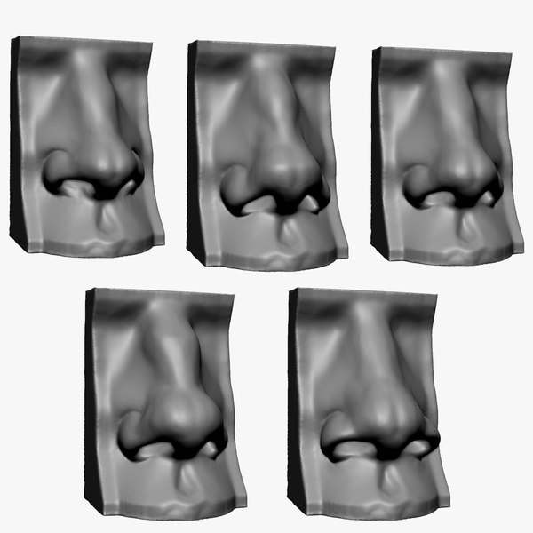 Nose Model with Different Types 3D 모델 - TurboSquid 2004922