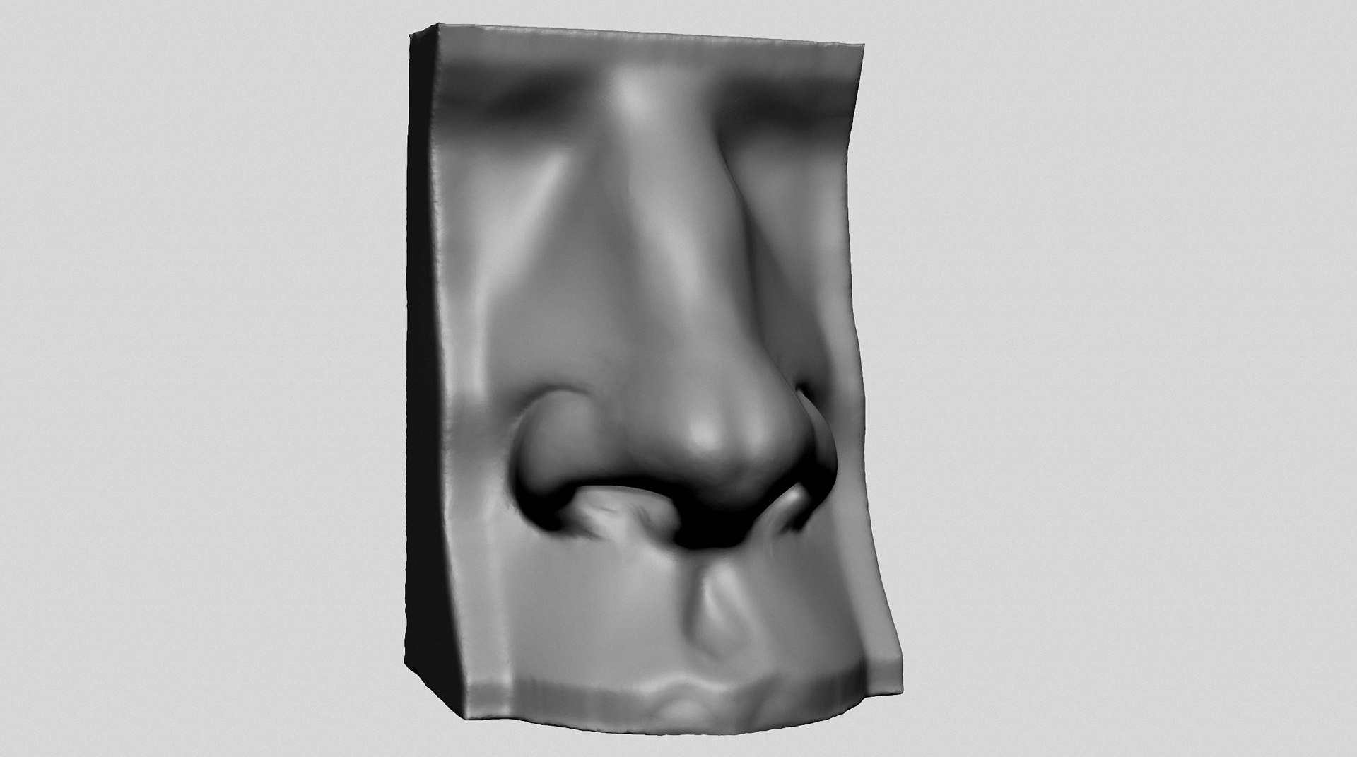 3D Nose Model With Different Types Model - TurboSquid 2004922