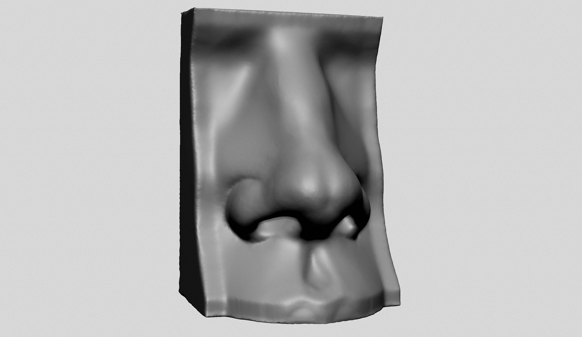 3D Nose Model With Different Types Model - TurboSquid 2004922