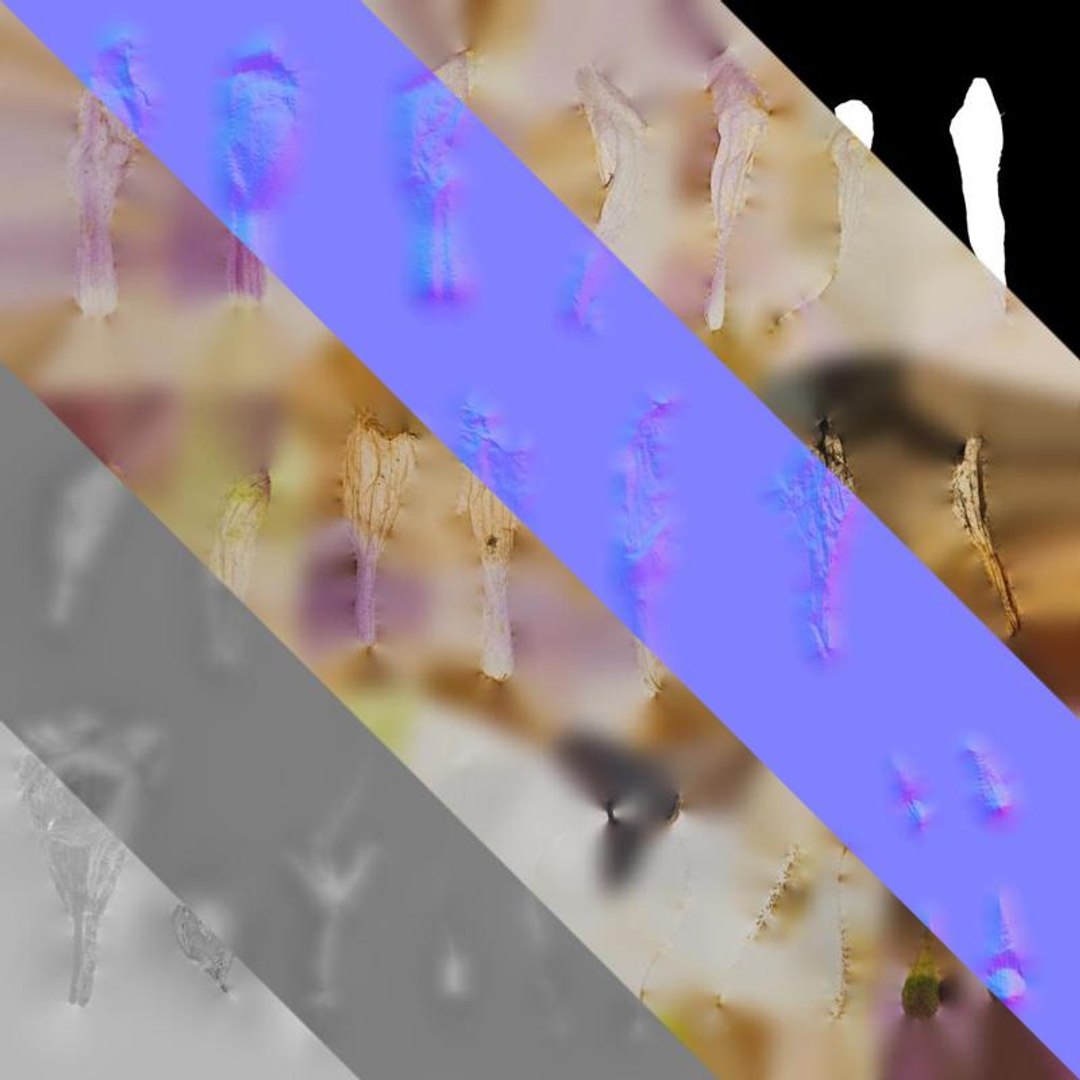 Anydrafts Penstemon Digitalis Flower 02 Textures 3D Model - TurboSquid ...