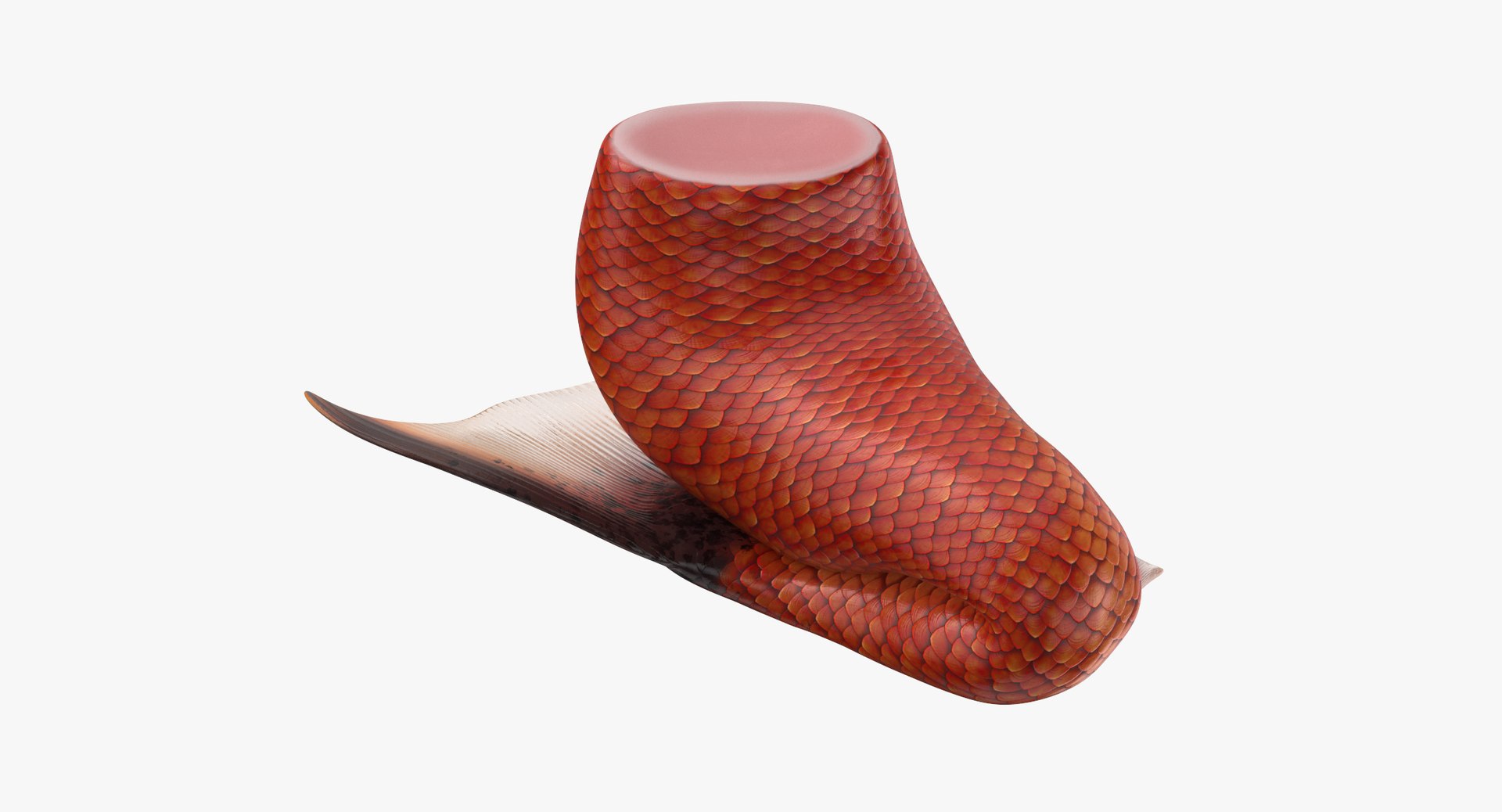 Mermaid tail 01 sitting 3D model - TurboSquid 1243372