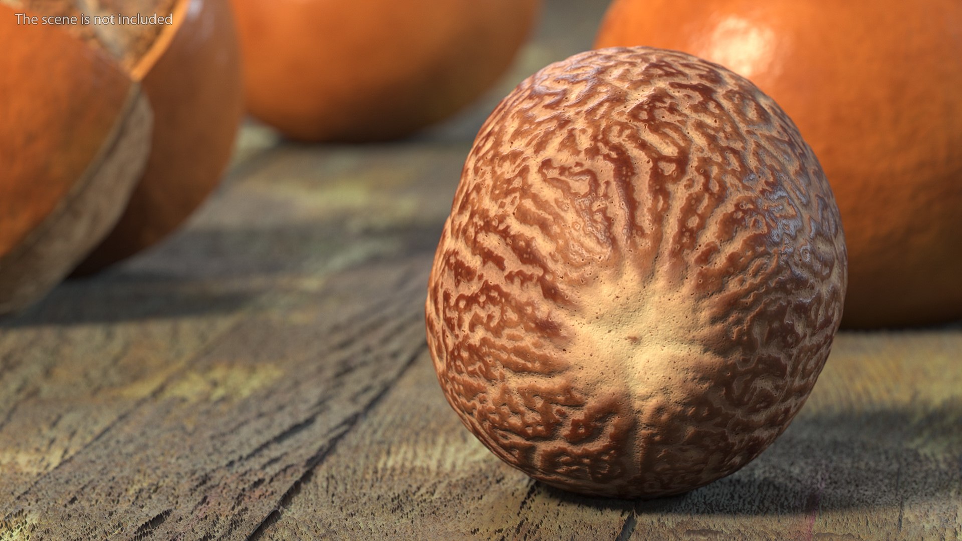 3D Shea Nut Peeled Model - TurboSquid 1735556