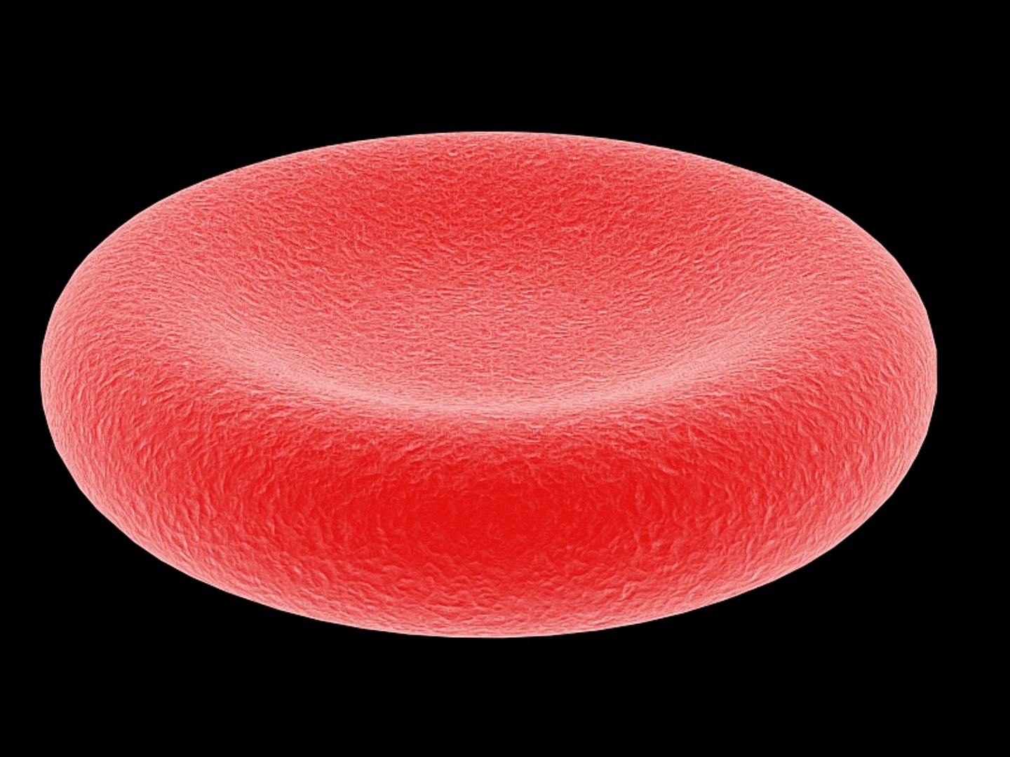 Single Red Blood Cell