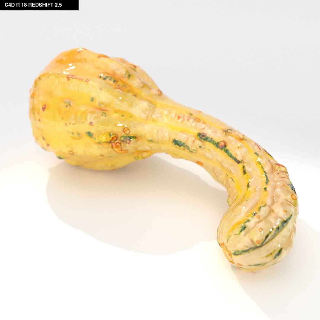 Gourde Fall Cornucopia 3D - TurboSquid 1343351