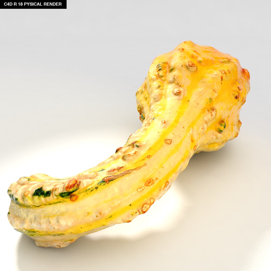 Gourde Fall Cornucopia 3D - TurboSquid 1343351