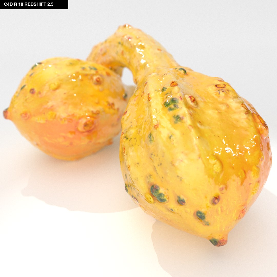 Gourde Fall Cornucopia 3D - TurboSquid 1343351