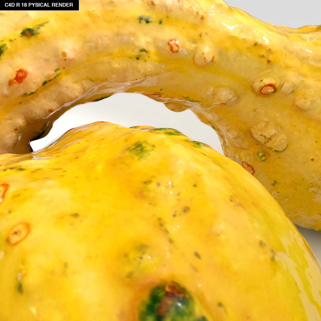 Gourde Fall Cornucopia 3D - TurboSquid 1343351