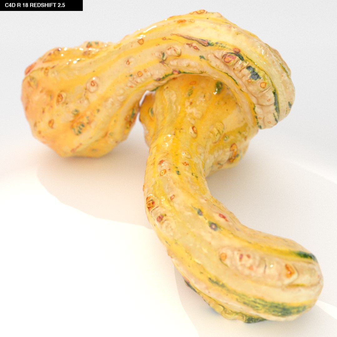 Gourde Fall Cornucopia 3D - TurboSquid 1343351