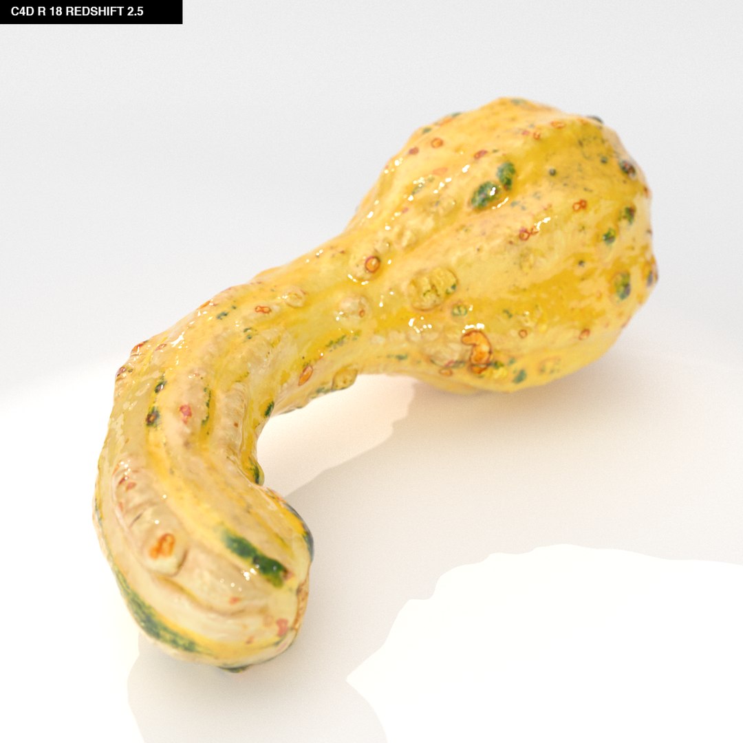 Gourde Fall Cornucopia 3D - TurboSquid 1343351