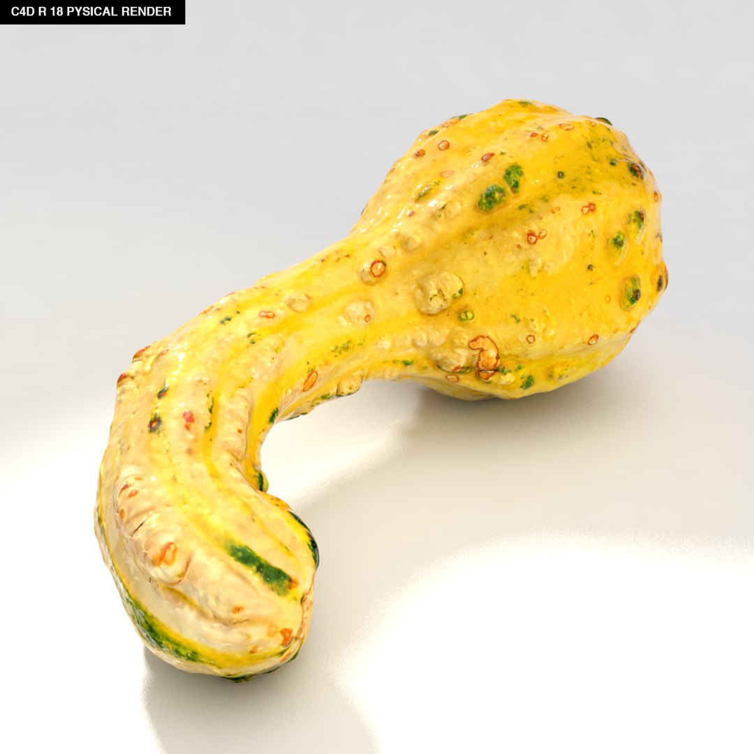 Gourde Fall Cornucopia 3D - TurboSquid 1343351