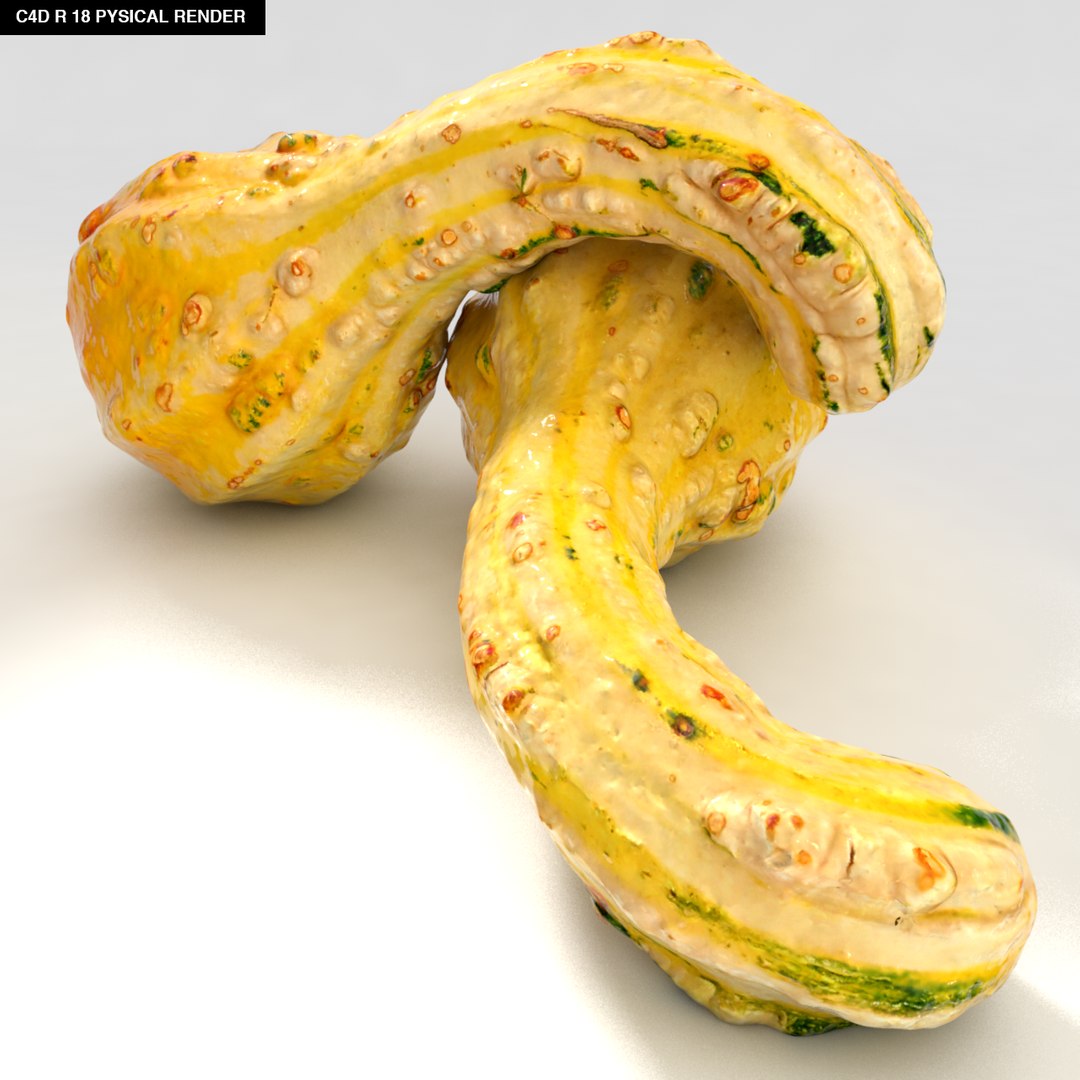 Gourde Fall Cornucopia 3D - TurboSquid 1343351